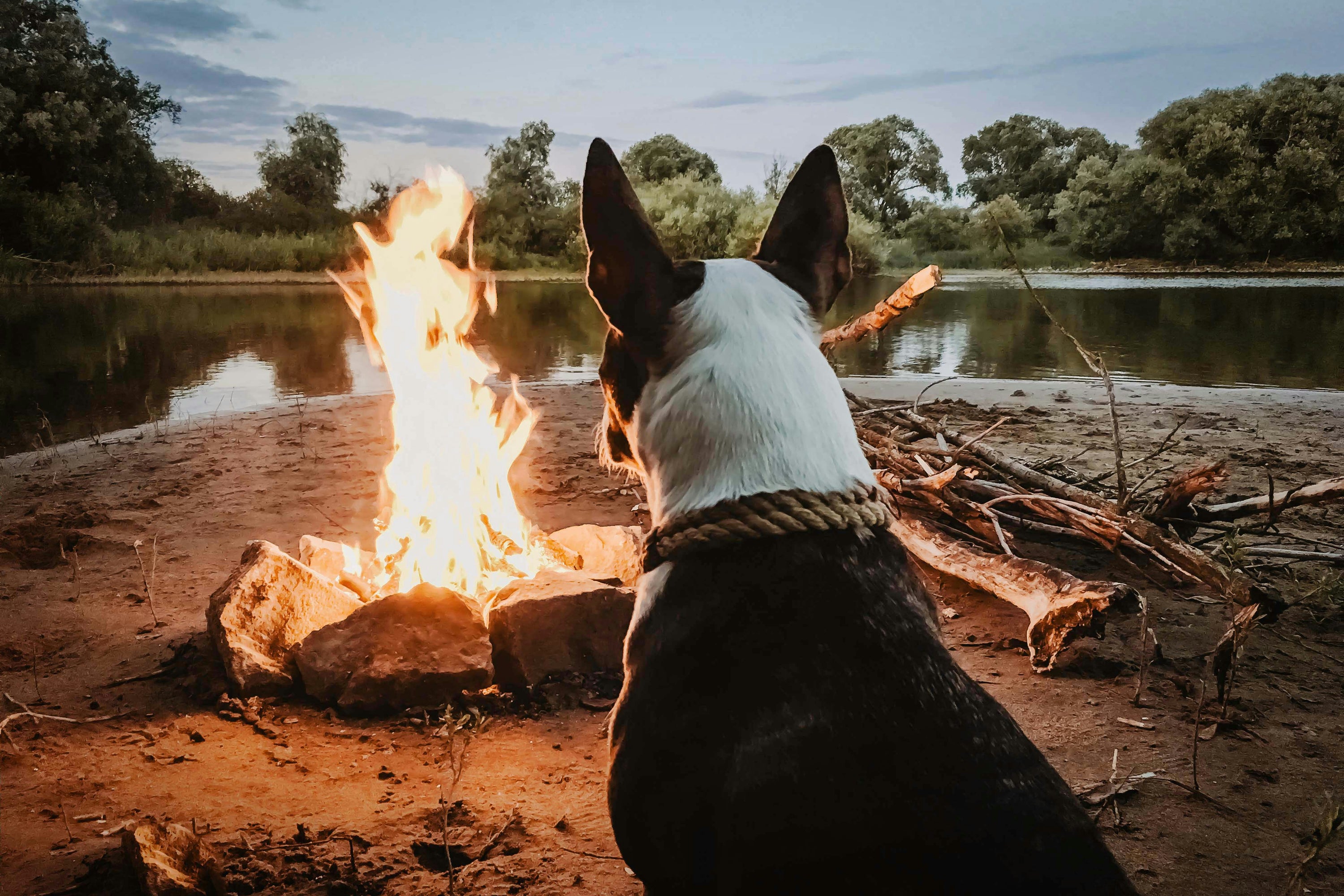 Psychology and Fire: Why Do We Find Fire So Calming? | imaginfires